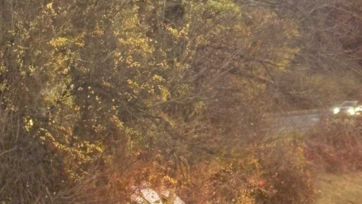 Driver charged in deadly hit-and-run crash on I-495