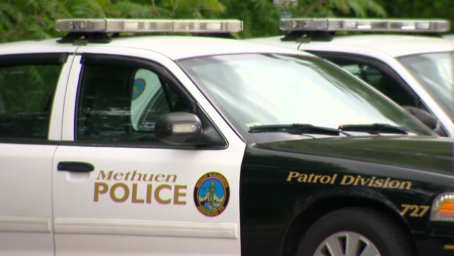 Dog trainer in Brentwood charged after online video shows alleged abuse