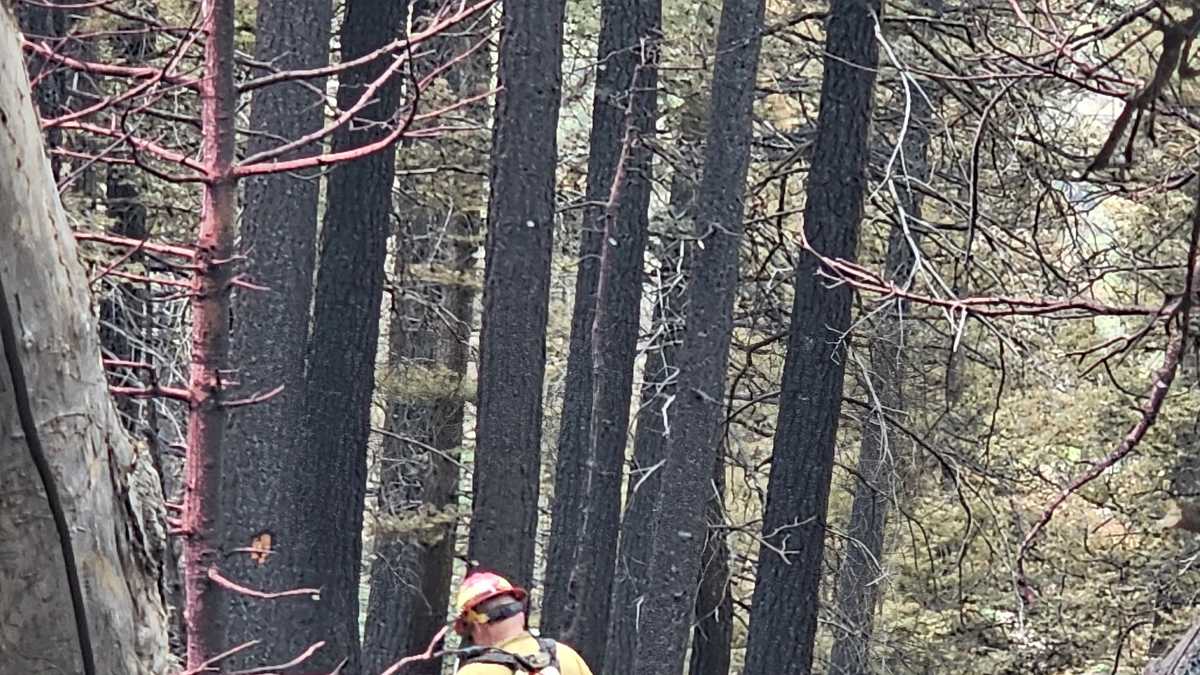 Mississippi Forestry Commission crew returns from battling Colorado wildfires