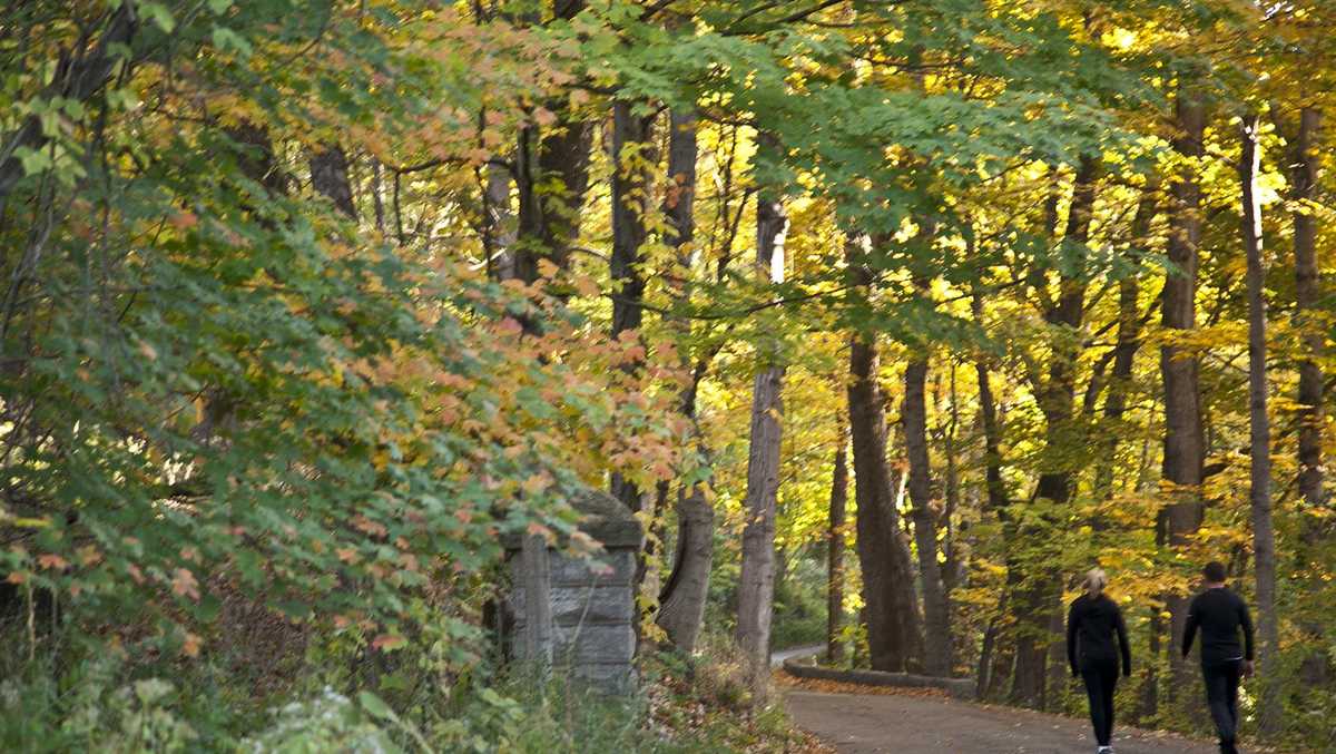 Louisville's Cherokee Park getting brand new scenic overlook