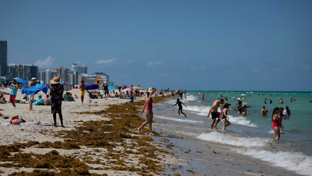 More Florida beaches announce closures as virus cases rise
