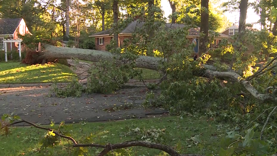 President Trump approves disaster declarations for areas impacted by ...