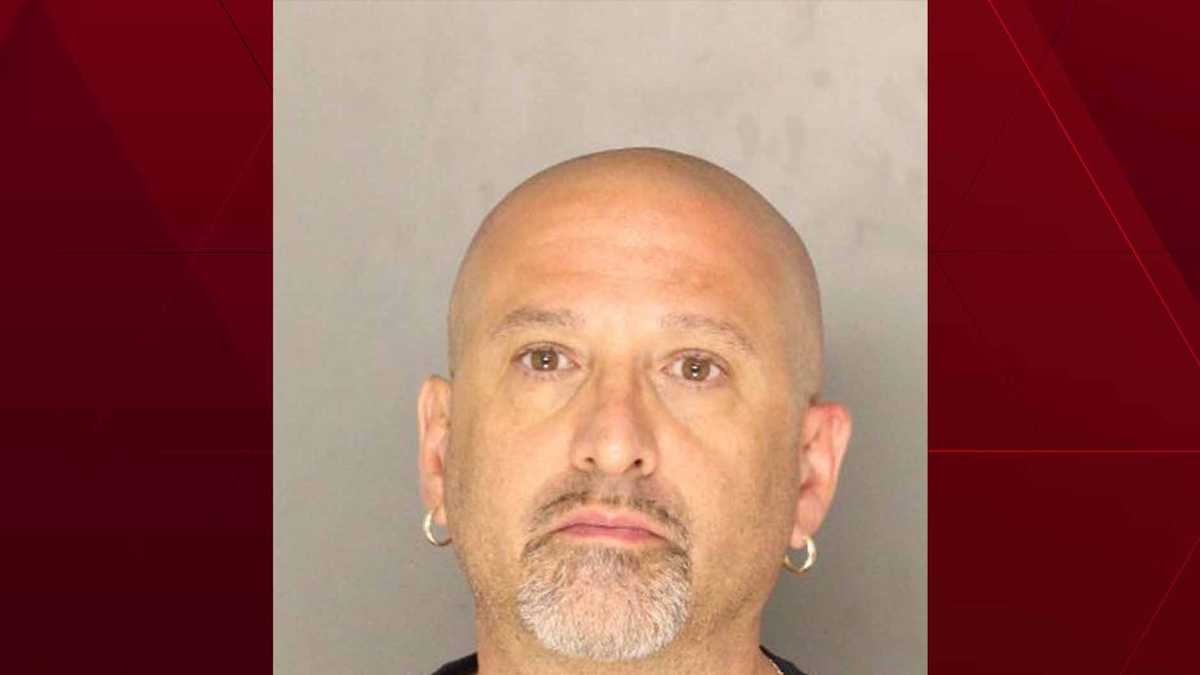 Man facing multiple charges after bringing gun through Pittsburgh ...