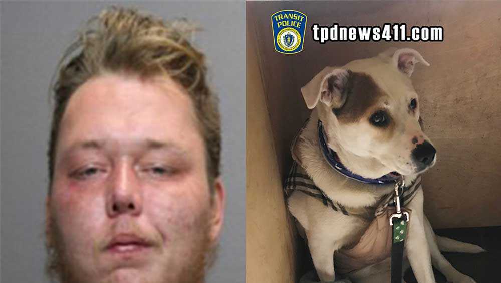 Man arrested for viciously beating his dog, police say