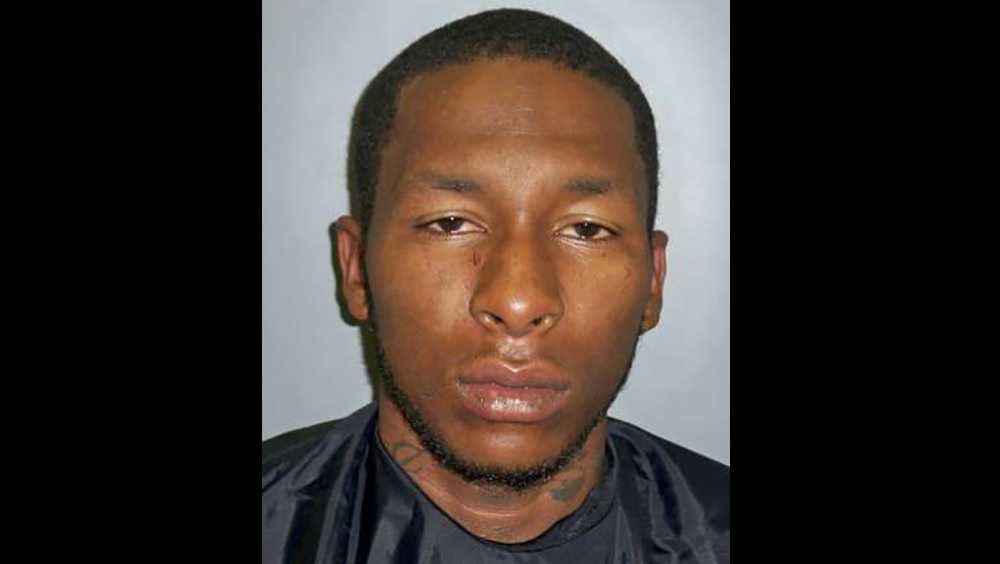 Starving dog found near death; deputies looking for owner