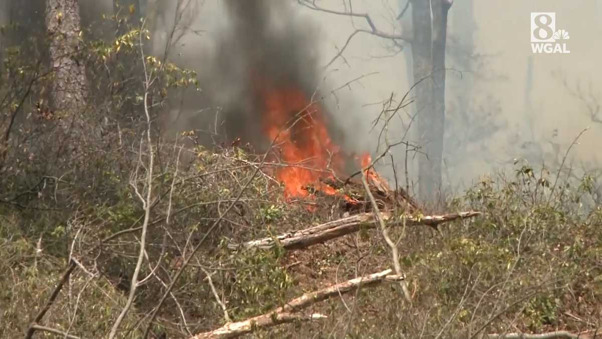 Michaux State Forest wildfires partially contained