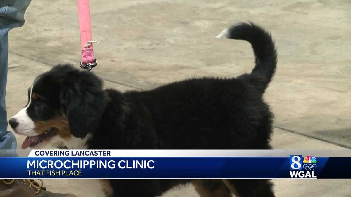 Pet microchipping event held at That Fish Place – That Pet Place, Pa.
