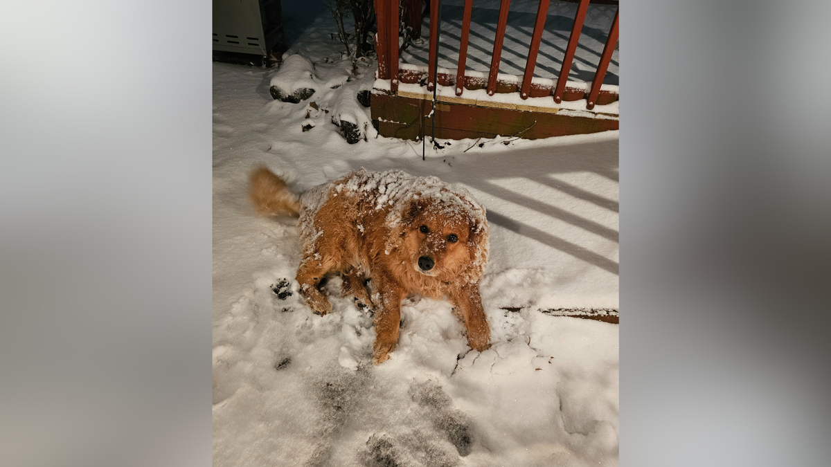 PHOTOS: Here's what snow looked like across Greater Cincinnati Friday