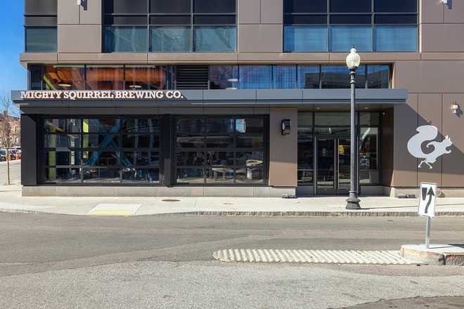 Mighty Squirrel opening new location one block from Fenway Park