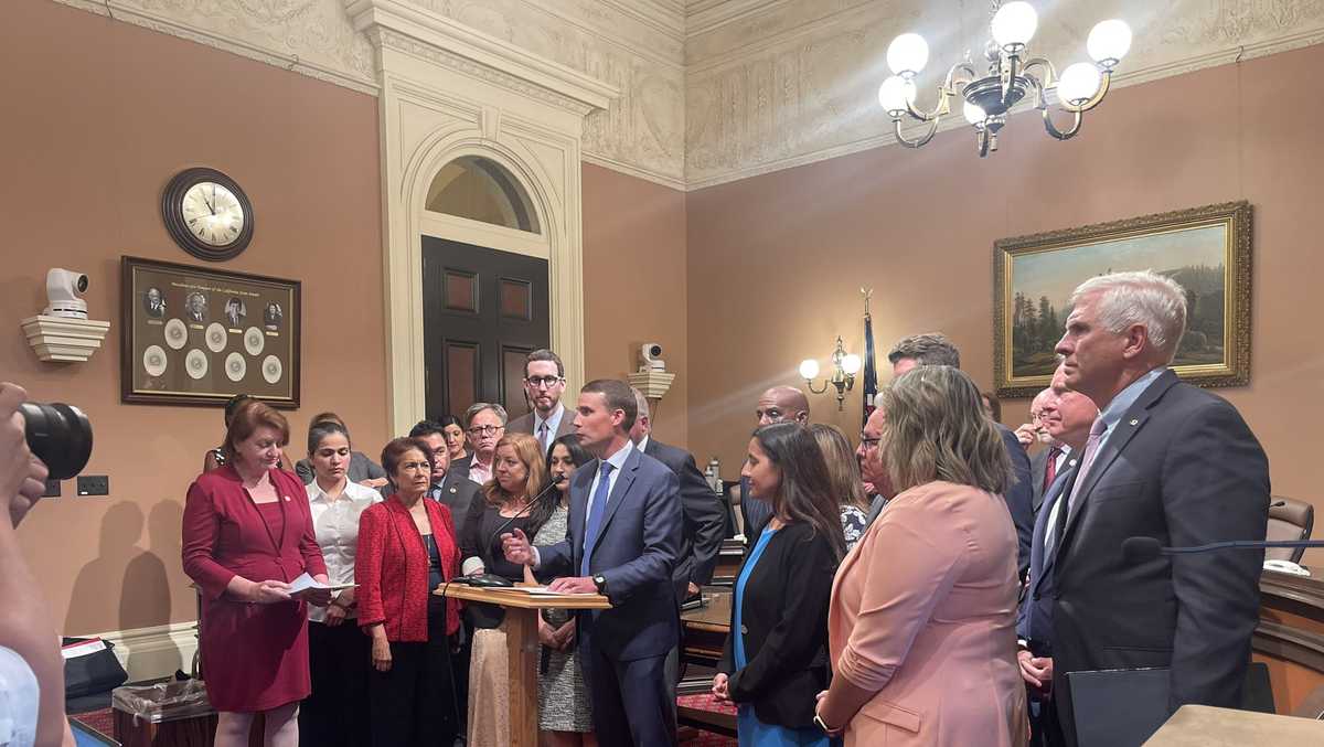 Mike McGuire tapped to lead California State Senate next year