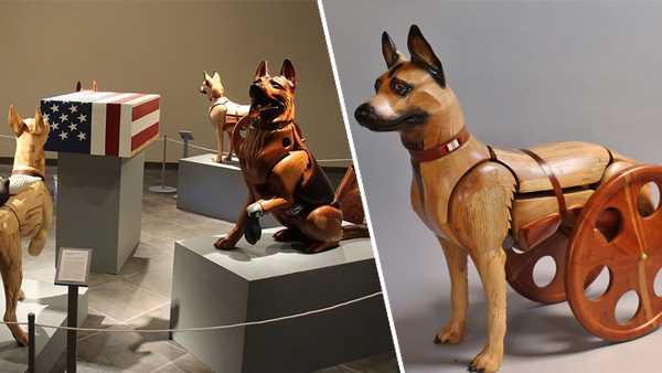 New Ohio museum exhibit honors sacrifice of military working dogs