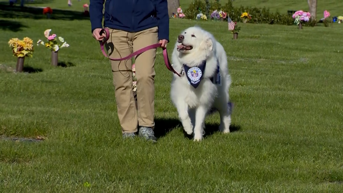 Dulaney Valley Memorial Gardens honors service dog laid to rest