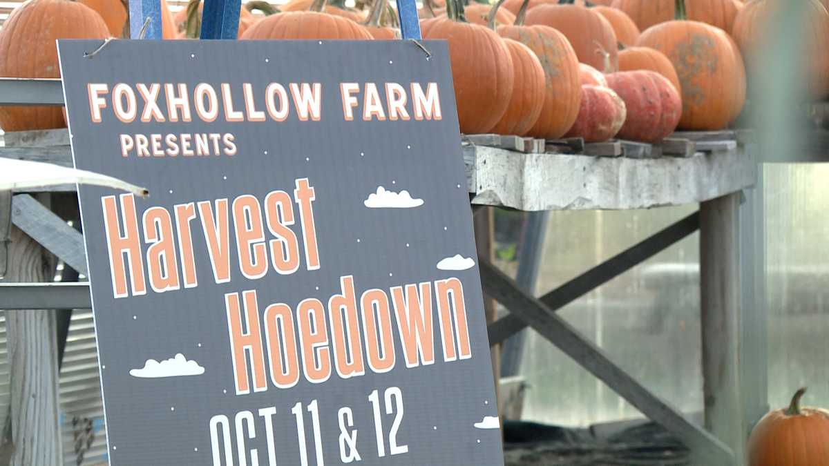 Signs of fall showing up at Foxhollow Farm