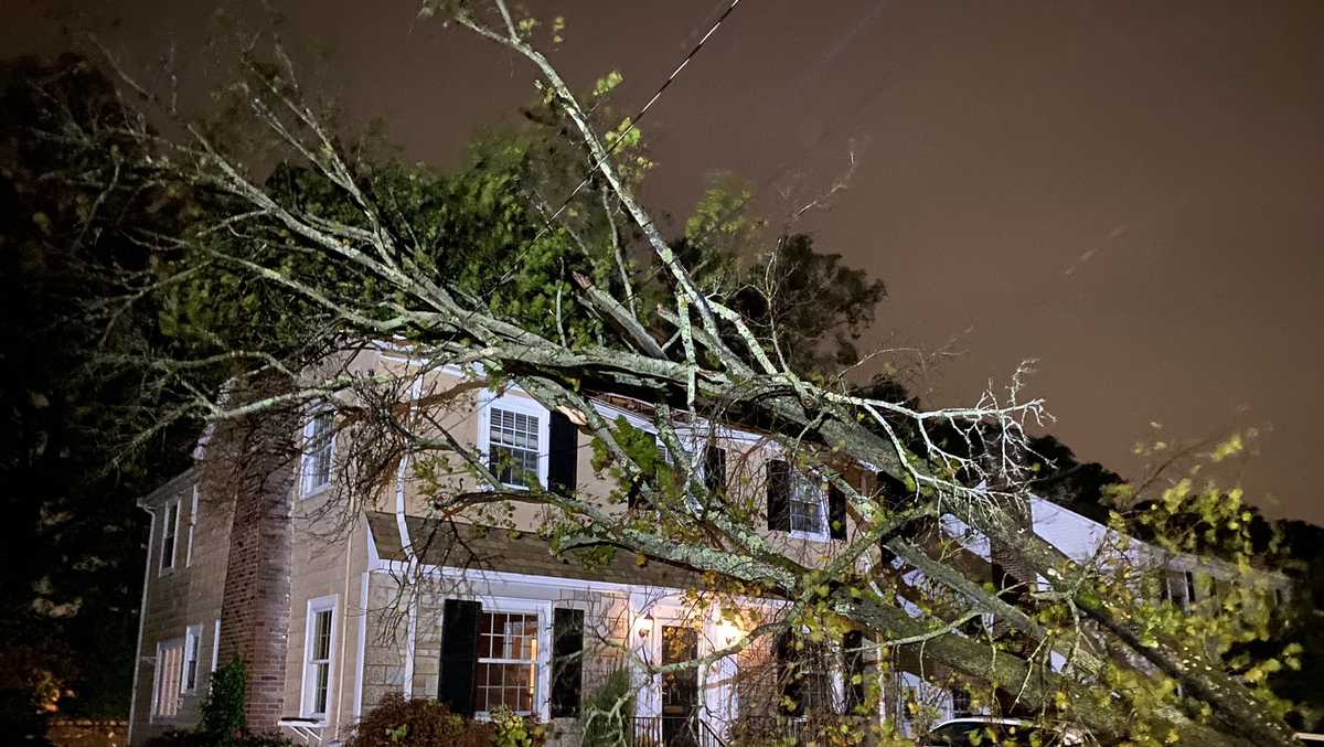 Tree falls on Milton home just weeks after residents move in