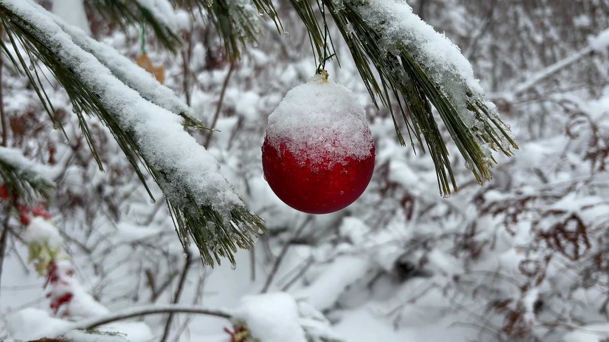 Milton's Charlie Brown Christmas tree search enters 10th year