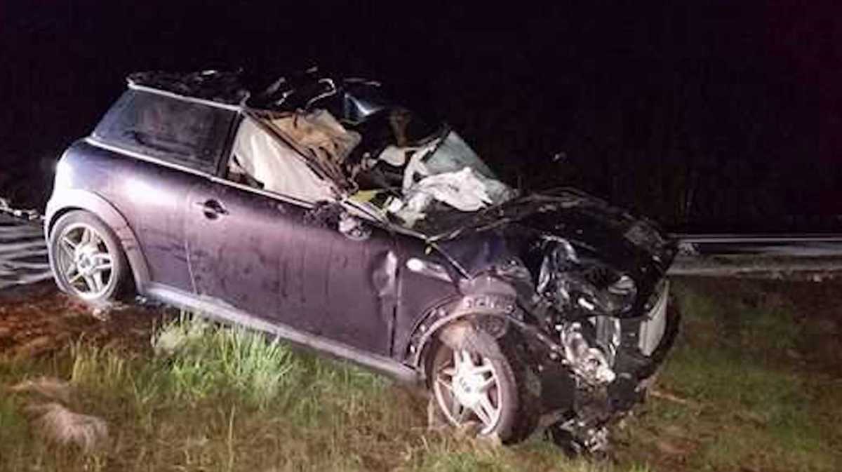 Car destroyed after colliding with moose on I-93
