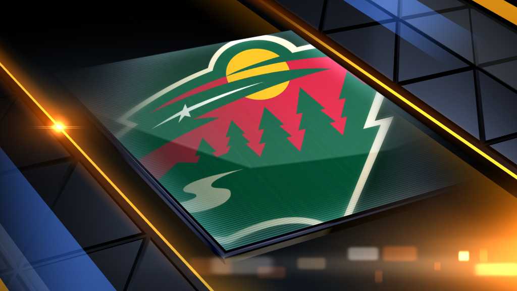 Gerry Mayhew scores first NHL goal for Minnesota Wild
