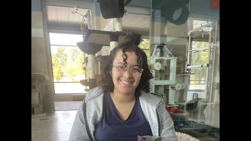 Police look for missing child in Lancaster