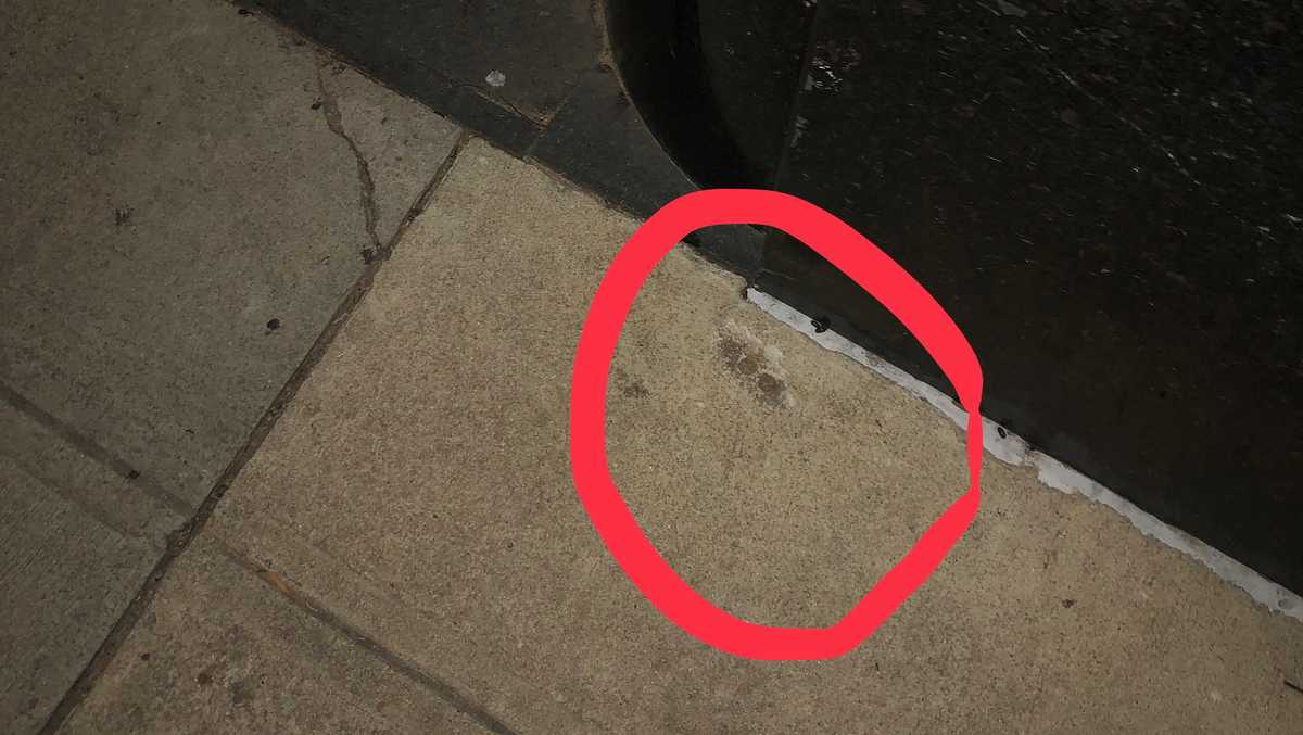 Mice on Main mouse goes missing from Downtown Greenville