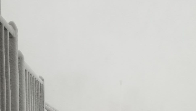 PHOTOS: Monday's winter storm