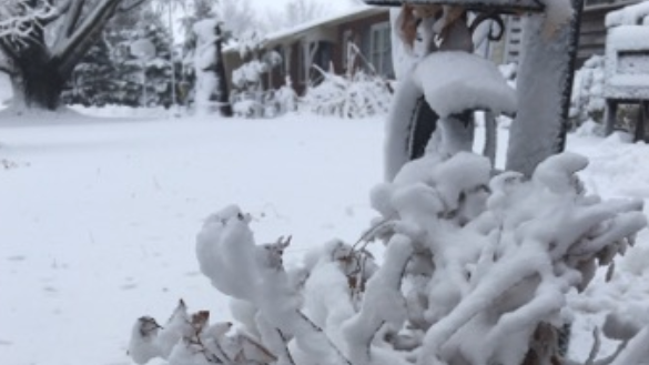 PHOTOS: Monday's winter storm