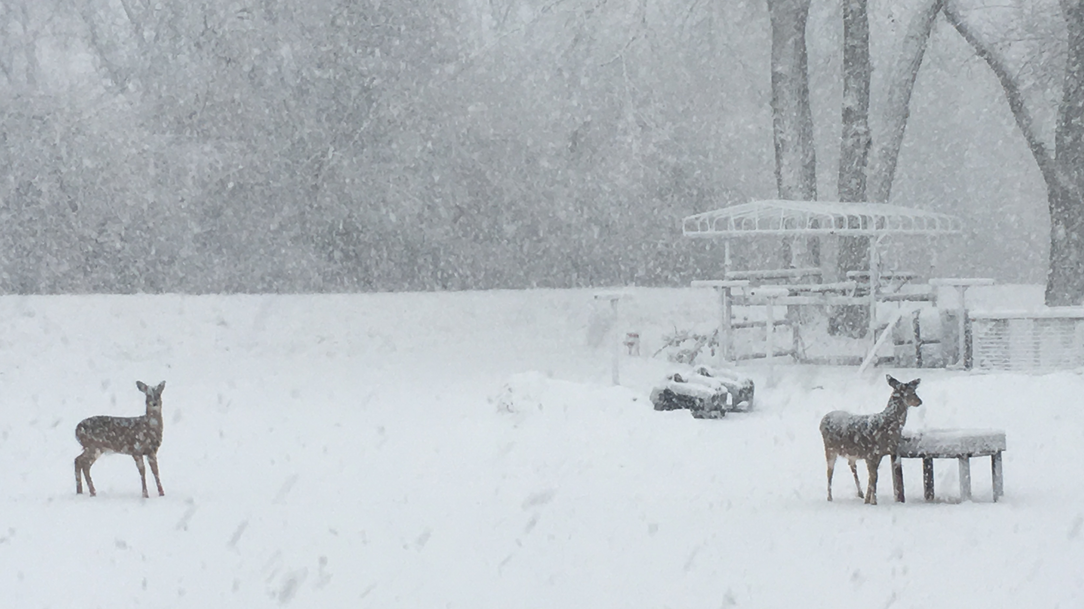PHOTOS: Monday's winter storm
