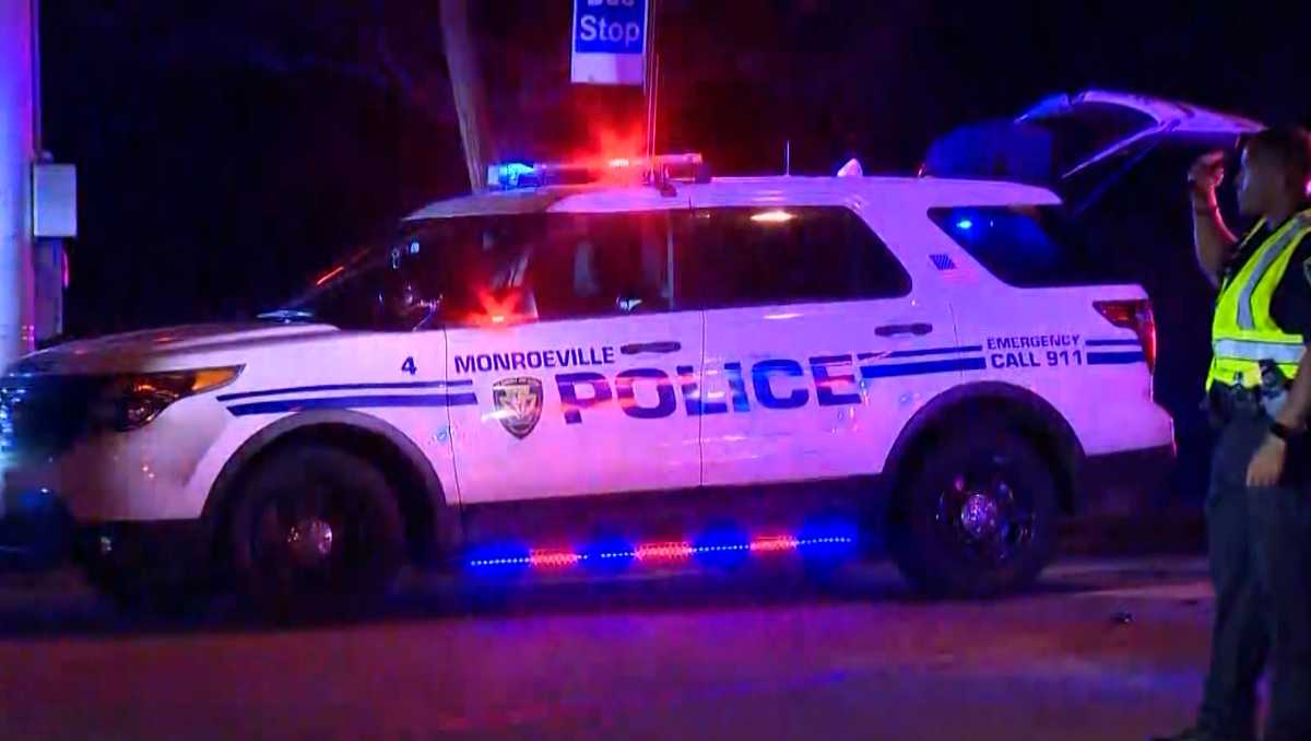 Family of man killed during police chase sues Monroeville