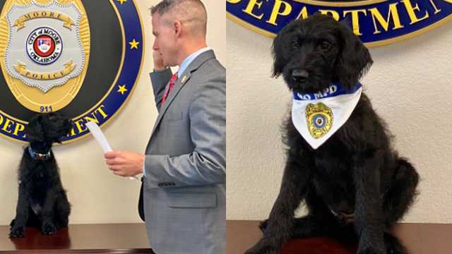 Moore Police Department’s new therapy dog Leo sworn into duty