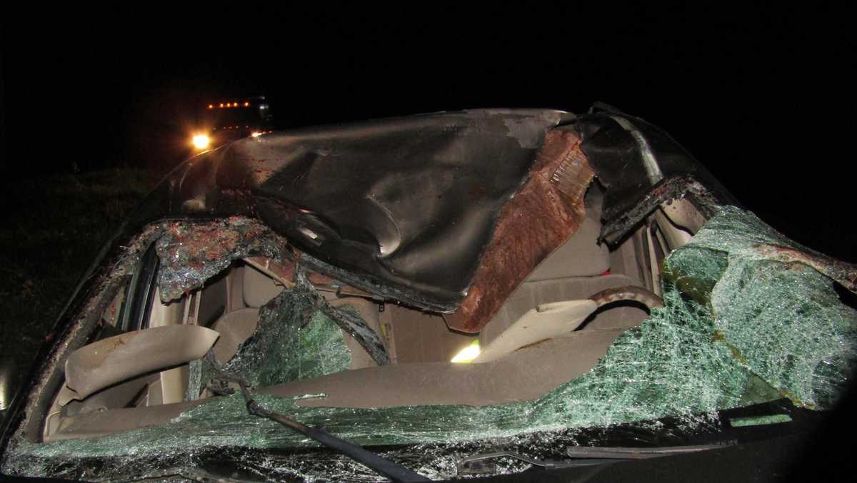 Brunswick man survives scary crash with moose