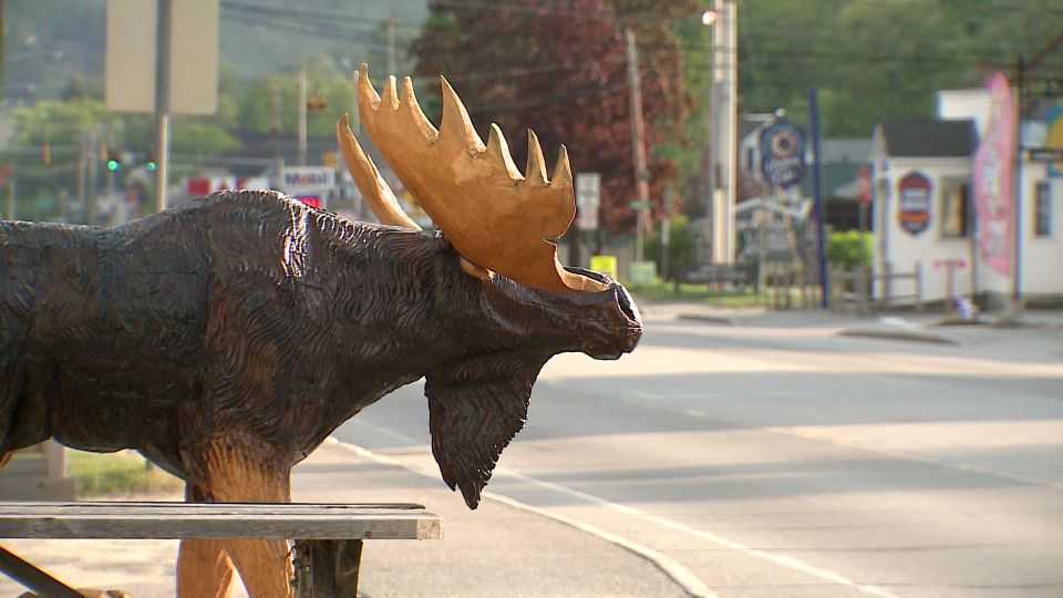 Wednesday, June 27th: On a Wild Moose Chase