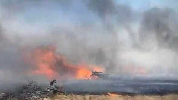 Crews battle large grass fire in Mora County