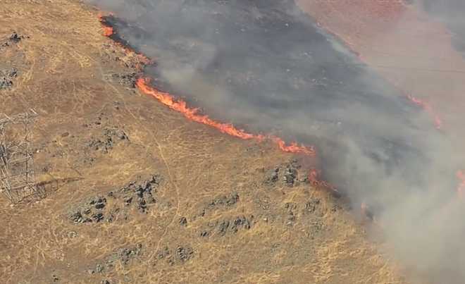 Morgan Hill wildfire kills 4 horses