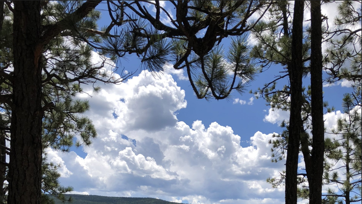 Morphy Lake State Park reopens following Calf Canyon/Hermits Peak Fire