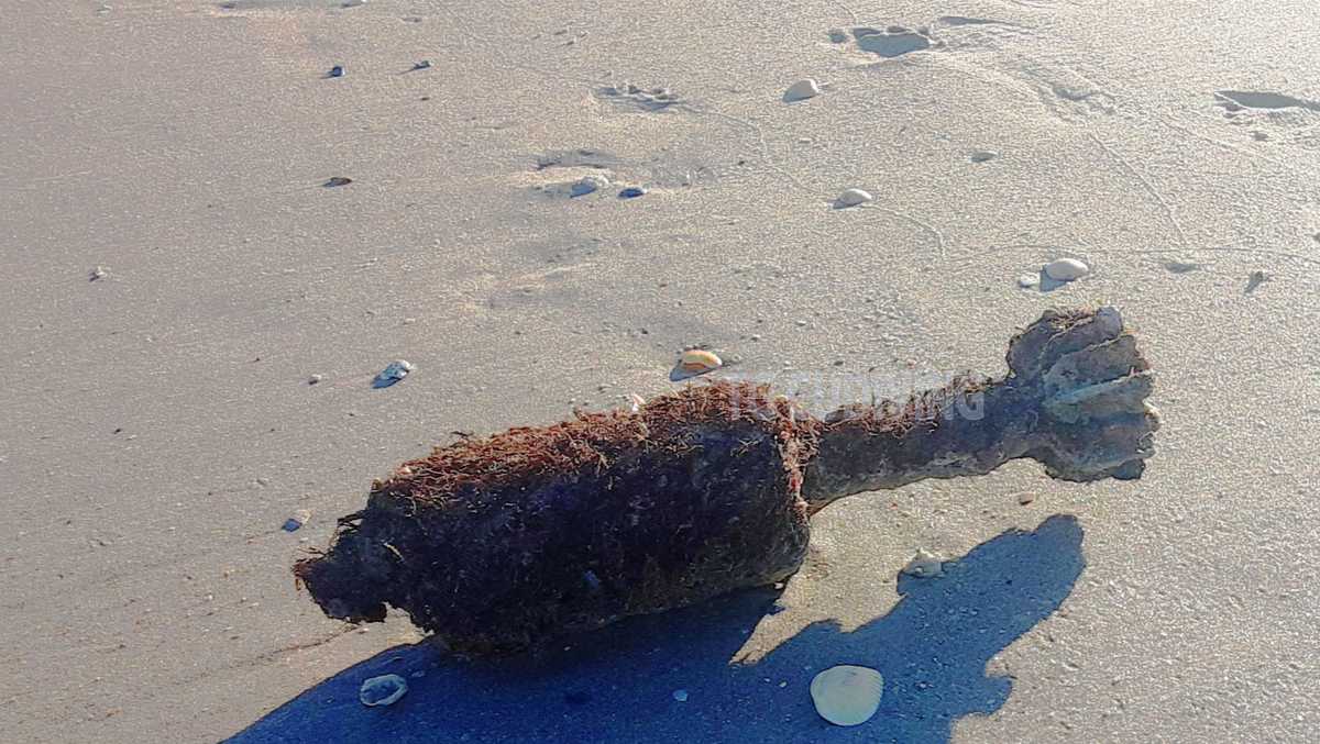 Experienced diving instructor finds World War II mortar in shallow ...