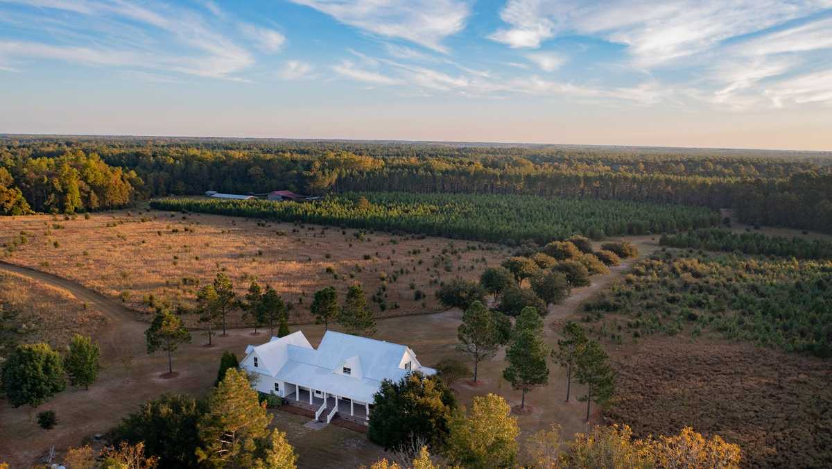 South Carolina: Murdaugh property to be horse farm