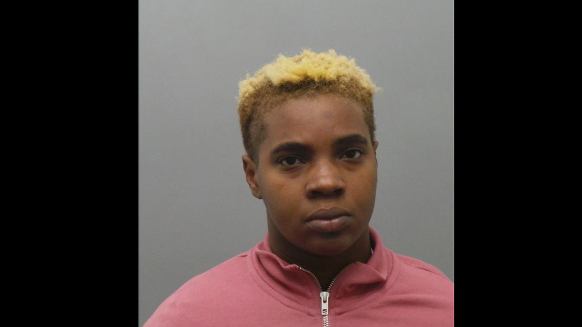 Mother Charged After 2 Year Old Falls From Moving Car Fatally Struck