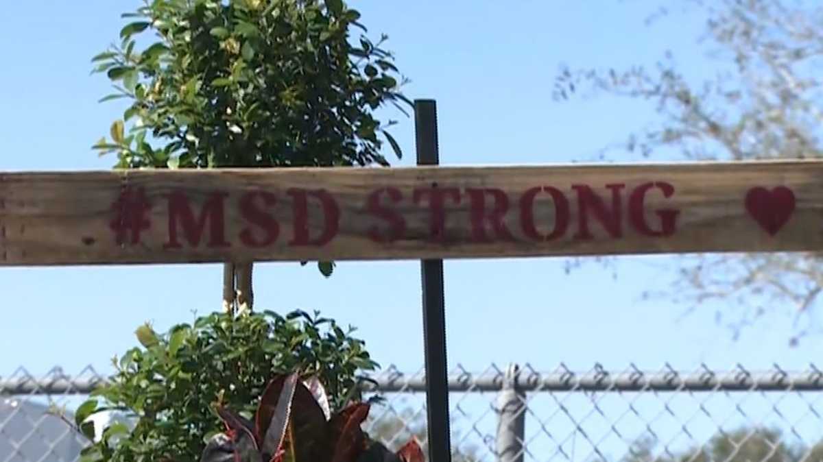 Hunter Pollack changes career path after sister is murdered in Parkland ...