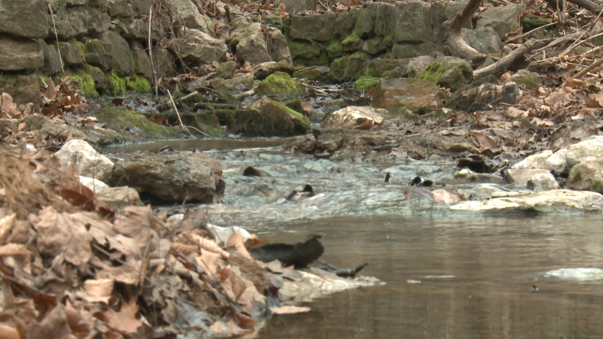 Before and after: MSD completes water restoration project