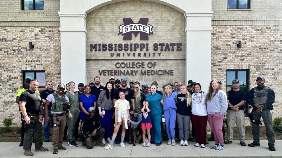 Wounded K9 treated at MSU College of Veterinary Medicine
