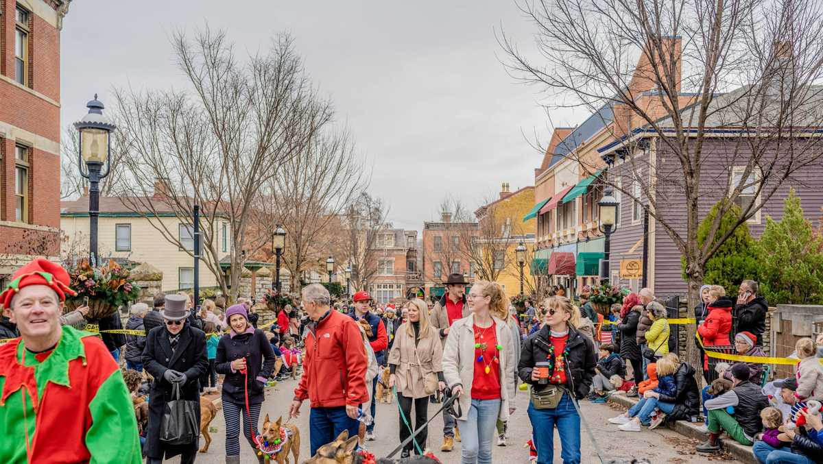 A day of festivity, fur and fashion: The Mt. Adams Reindog Parade ...