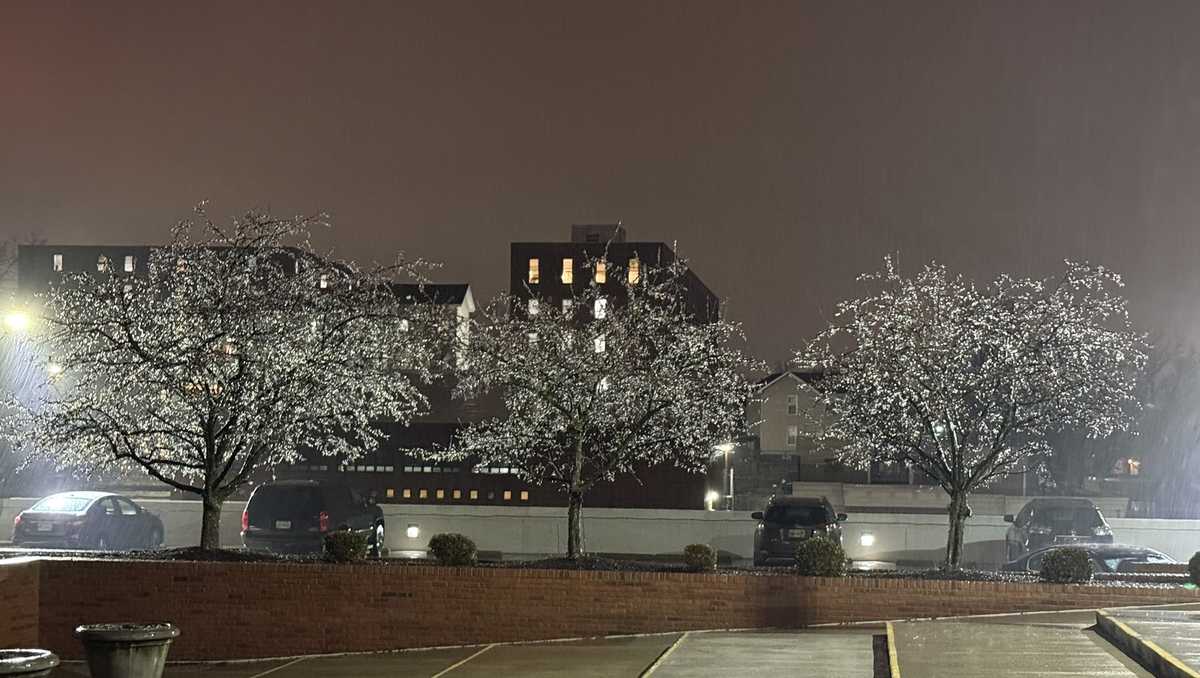 PHOTOS: Freezing rain falls Wednesday, forming icy glaze on surfaces