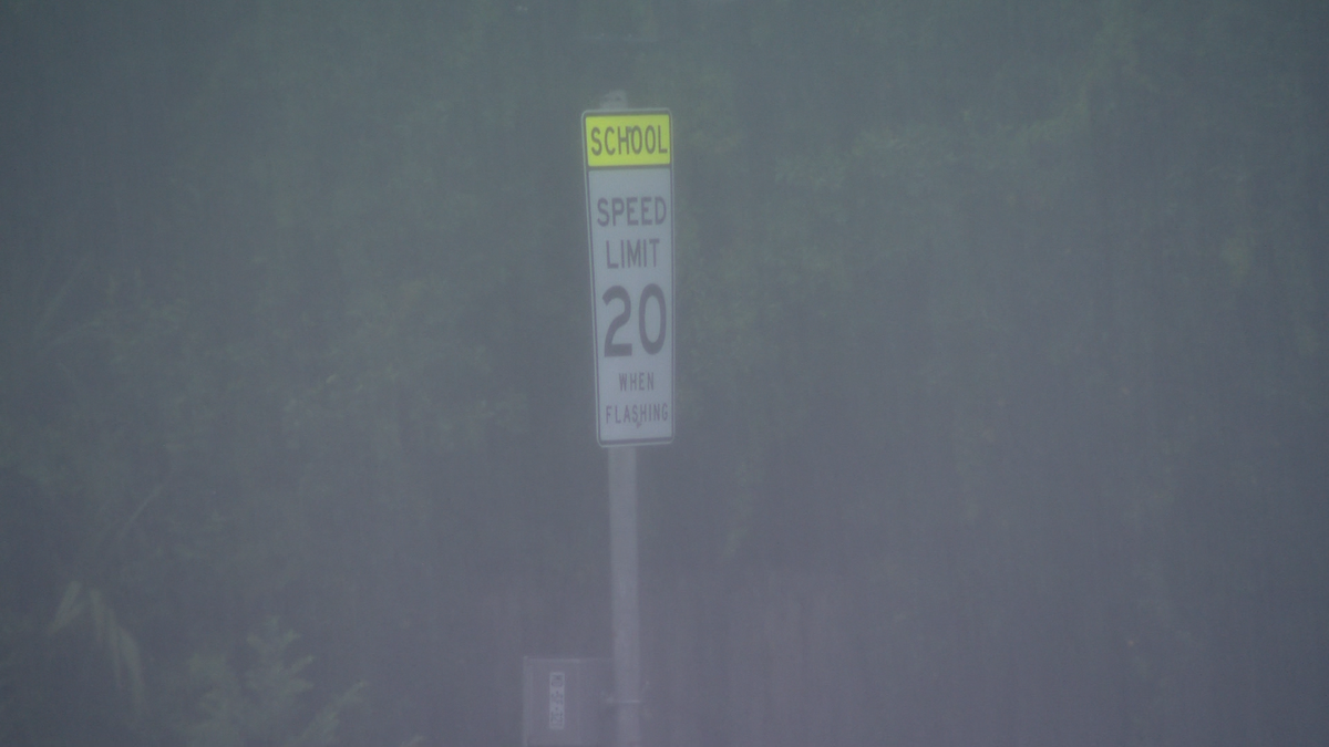 Mount Dora set to roll out school zone speed cameras