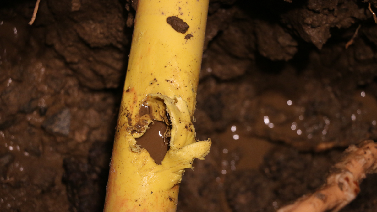 Fire Marshal finds fault with MUD in Old Market explosion