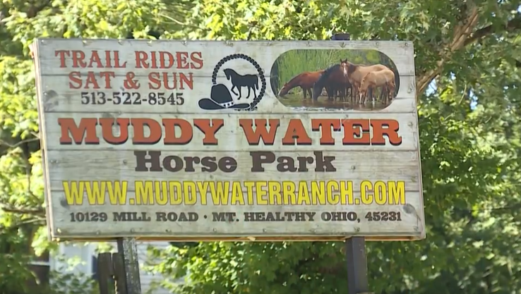 Springfield Township ranch owner appears in court over animal cruelty ...
