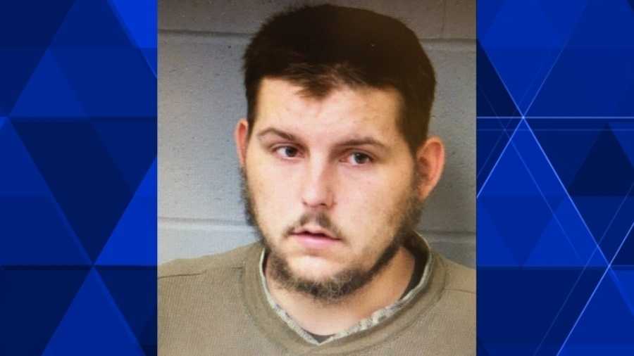Man kicked puppy to death, police say
