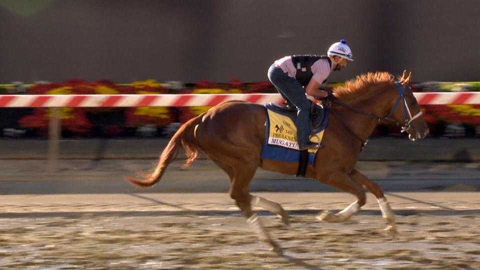 149th Preakness Stakes in photos