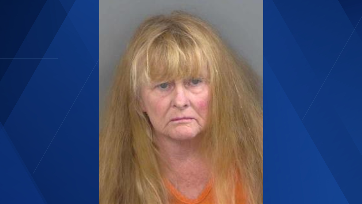 Naples woman sentenced to 10 years in prison for exploiting elderly couple