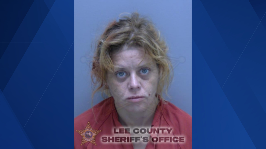 North Fort Myers woman facing multiple charges after police chase ends ...
