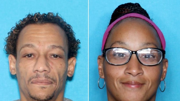 Wanted suspects identified in car theft