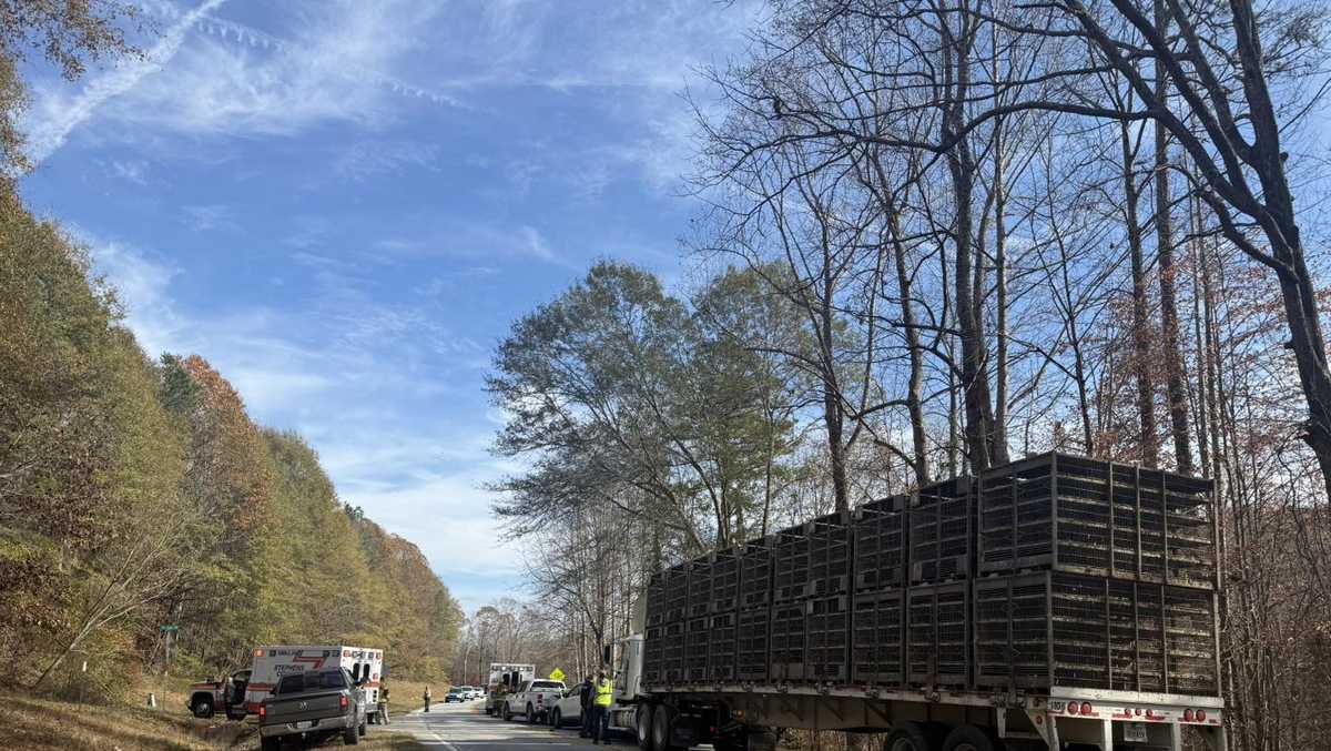 Georgia: Crash on highway injures several people